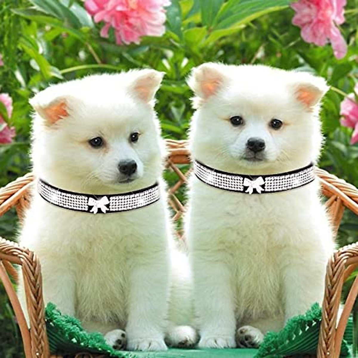 Bling Rhinestone Dog Cat Collar Adjustable Leather Dog Cat Rhinestone Collar for Small Medium Large Dogs（XXS 10"-L 20"） Black