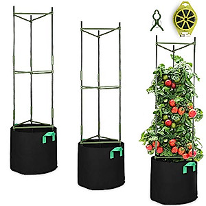 GROWNEER 6 Packs Plant Cages Assembled Tomato Garden Cages Stakes Vegetable Trellis, with 6Pcs 10 Gallon Grow Bags, 18Pcs Clips and 328Ft Twist Tie, for Vertical Climbing Plants