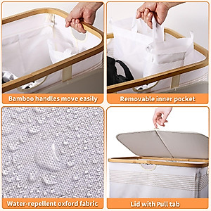 Double Laundry Hamper with Lid and Removable Bags, 150L Large Collapsible 2 Dividers Dirty Clothes Basket with Handles, Beige Laundry Basket Organizer for Bedroom,Laundry Room,Closet,Bathroom,College