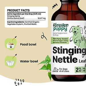 Stinging Nettle Leaf for Dogs - Itchy Skin Relief for All Breeds & Sizes - Liquid Dog Food Supplements for Soothing Skin Irritation & Itching - Herbal Skin and Coat Supplement for Pets - 2 oz