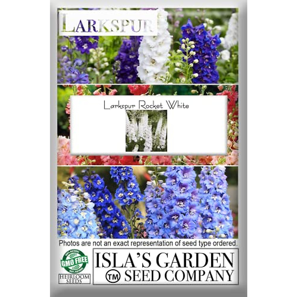 White Larkspur Rocket Flower Seeds for Planting, 250+ Seeds Per Packet, (Isla's Garden Seeds), Non GMO & Heirloom Seeds, Botanical Name: Delphinium Consolida, Great Home Garden Gift