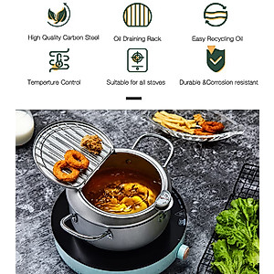 Cyrder Japanese Tempura Deep Fryer Pot with Thermometer and lid, 9.5" For Home with Oil Filtration, Big Deep Fryer Perfect for Family Easy Clean, Silver Deep Fryer Pot