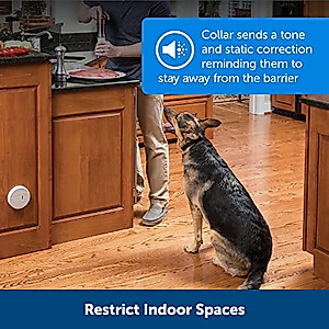 PetSafe Pawz Away Indoor Pet Barrier with Adjustable Range – Dog and Cat Home Proofing – Static Correction – Wireless Pet Gate Keeps Areas Off Limits – Battery-Operated – For Pets 5 lbs. and Up