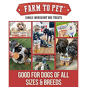 Farm To Pet Chicken Chips for Dogs - Single Ingredient All Natural Dog Treats for Small, Medium, & Large Dogs | Healthy Dog Treats with Human Grade, Free Range Chickens, 4 oz.