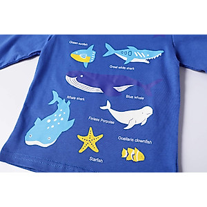 Boy Tee Raglan Long Sleeve Crewneck T Shirt Blue Red Yellow Cartton Car Winter Shirt 3 Pack Set Size 7