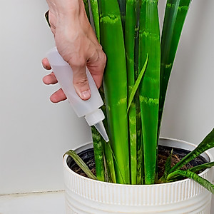 Cornucopia Brands 4oz HDPE Plastic Squeeze Bottles w/Yorker Tips (6-Pack), Empty Refillable Bottles for Arts, Crafts & Kitchen (6-Pack)