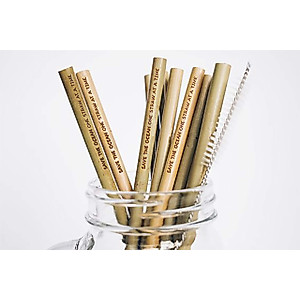 Bamboo Straws Pack of 10 - Reusable Straws With Case - Biodegradable Wooden Straws With Cleaning Brush - Eco Friendly Straws For Drinking - Organic Drinking Straws Best Alternative To Plastic