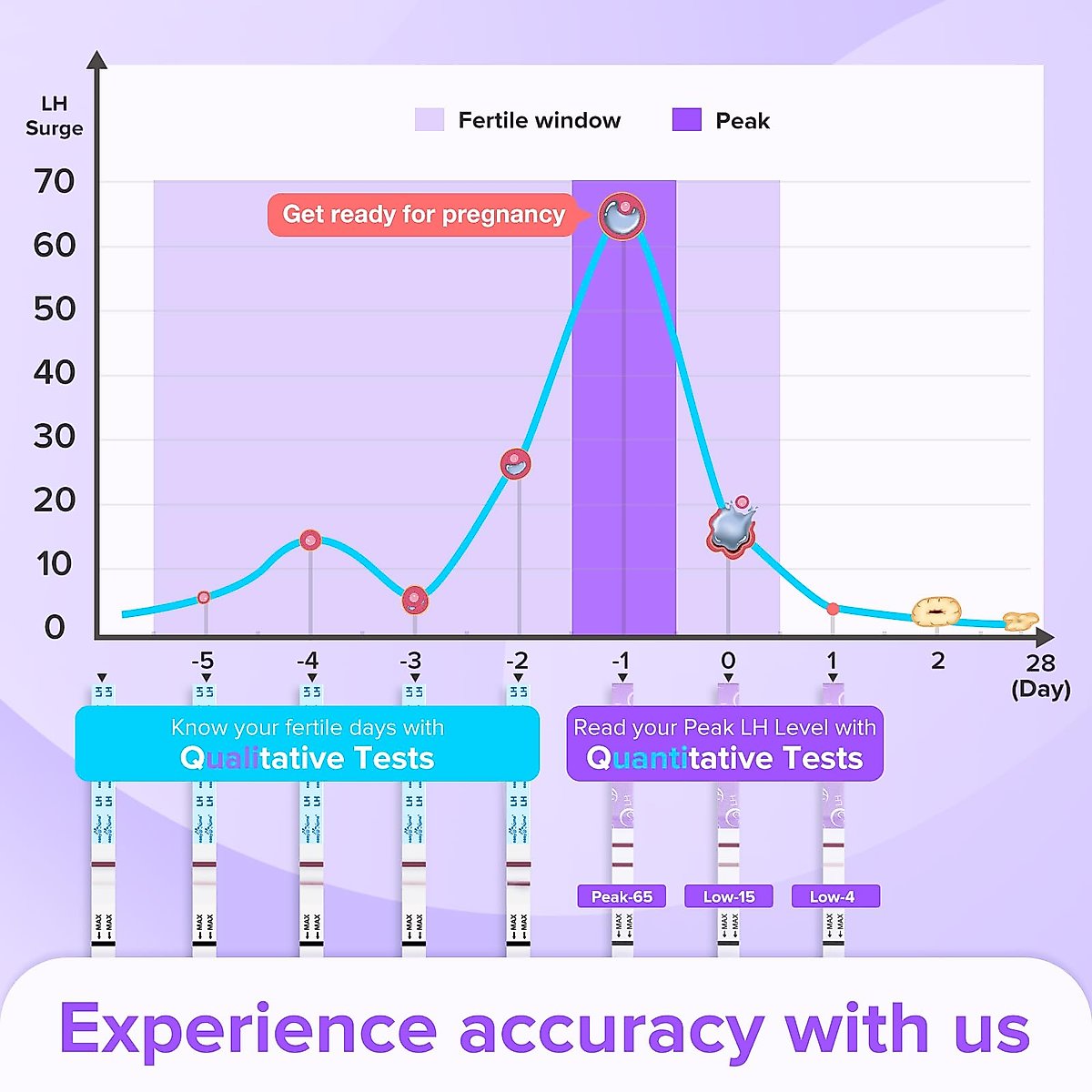 Premom Quantitative Ovulation Predictor Kit：40 Ovulation Tests + 10 Pregnancy Tests - Advanced Ovulation Test Strips Combo 40LH+10HCG Test
