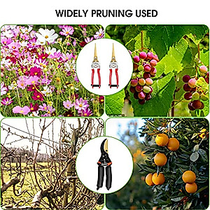 Pruning Shears for Gardening 3 Pack, WEIKA 8.5" Professional Titanium Bypass Garden Shears and 2 8.3" Garden Scissors and Gloves, Ultra Sharp Pruners Clippers for Trimming Bushes Flowers Plants