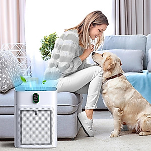 HY4866 True HEPA Air Purifier Replacement Filters Compatible with MORENTO Air Purifier Replacement Filter and YIOU M1 Air Cleaner Purifier, 4 Pack