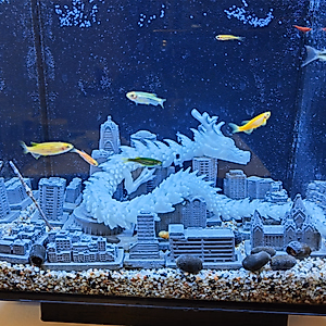 Whattiho 3D Printed Dragon, Articulated Dragon Fidget Toy Posable Flexible Dragon Toys for Car Decoration and Ornament Figures