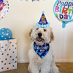 TCBOYING Dog Birthday Bandana, Dog Birthday Boy Hat Scarfs Flag Balloon with Cute Doggie Birthday Party Supplies Decorations(11-Piece Set) (Blue) (Style2, Blue)