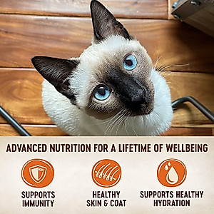 Wellness Canned Grain Free Wet Cat Food - Variety Bundle 4 Flavors Pack with Hotspot Pets Food Bowl (12 Cans) (Chicken & Beef, Chicken & Liver, Chicken & Salmon, Chicken & Turkey)(2.82oz)