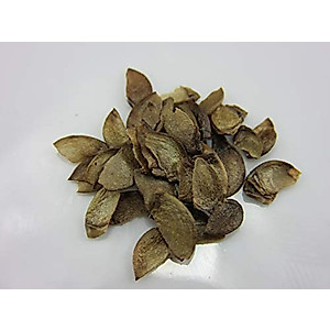 1195B-Dwarf Pink Crape Myrtle (Lagerstroemia Indica) Seeds by Robsrareandgiantseeds UPC0764425788461 Non-GMO,Organic,USA Grower,Bonsai,Showy, Butterfly Flower,1195-B Package of 10 Seeds