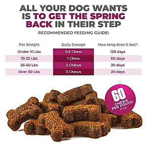 Mighty Petz MAX Dog Multivitamin MAX Hemp Glucosamine for Dogs Bundle