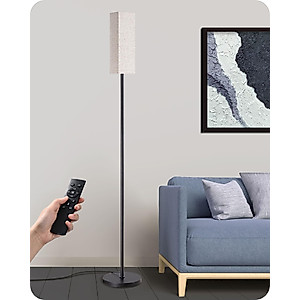 EDISHINE Modern Corner Floor Lamp, 65" Minimalist Pole Lamp with Remote, Dimmable Tall Reading Light for Living Room, Bedroom, Office, 9W LED Bulb Included (Black)