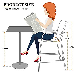 Crestlive Products Counter Height Bar Stools Aluminum Patio Furniture with Heavy Duty All Weather Frame in Antique Brown Finish for Outdoor Indoor, 2 PCS Set, 27.5'' Seat Height (Brown)