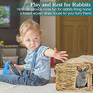 HERCOCCI Extra Large Grass House for Rabbit, Foldable & Comfortable - Small Animal Hut Play Hideaway Bed Hay Mat Chew Toy for Bunny Guinea Pig Hamster Chinchilla (1 Pack)