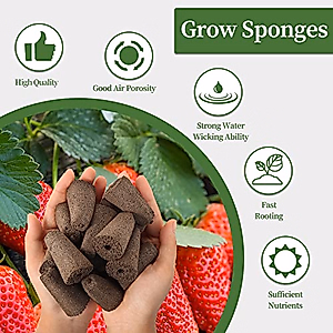 Grow Sponges, Seed Starter Pods Root Growth Sponges Eco-Friendly PH Balanced Square Sponges Replacement Compatible with QYO, LYKO, iDOO IG201Hydroponic Growing System, 50 Pack