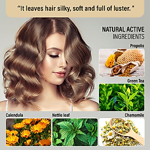 Bioken Intensive Revitalizing Shampoo – 33.8 oz Dry & Sensitive Hair Bee Propolis Herbs Promote Hair Growth Hydrating Moisturizing Nano Color Care Sulfate Free