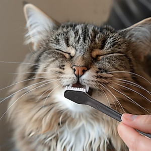 Mozeat Lens Dog Toothbrush Set of 8 Double Headed Pet Dog Toothbrush for Small to Large Dogs Cat Toothbrush to Clean pet Teeth Dog Tooth Brushes, Easy Teeth Cleaning & Dental Care