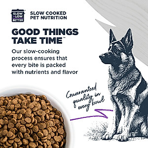 Blackwood Large Breed Dry Dog Food, Whitefish with Ancient Grains, 24 Pound Bag for Adult Dogs, Slow Cooked with Green Mussels to Promote Hip & Joint Health