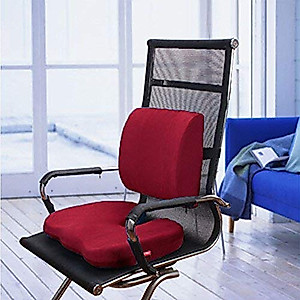Bookishbunny 2pc High Resilience Memory Foam Seat Chair Waist Lumbar Back Support Cushion Pillow Car Office Home (Burgundy)