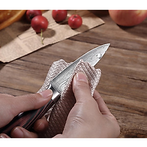 PAUDIN Boning Knife + Paring Knife