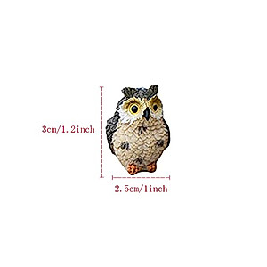 BOLWHAO Feijinmao 12 pcs Miniature Owl Figurines Resin Miniature Owl Fairy Garden Decor Owl Landscape Garden Decoration Mini Owls Figurines Fairy Garden Accessories