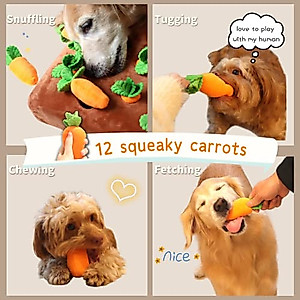 iFur 12 Squeaky Carrots Enrichment Dog Puzzle Toys, Hide and Seek Carrot Farm Dog Toys, 13''x13'' Carrot Patch Dog Snuffle Toy for Small Medium and Large Dogs (12 Squeaky Carrots + Corn)