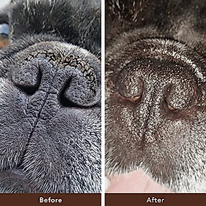 Natural Dog Company Snout Soother Dog Nose Balm, Travel Stick, 0.15 oz, Dog Balm for Paws and Nose, Moisturizes & Soothes Dry Cracked Noses, Plant Based Nose Cream for Dogs