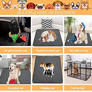 2-Pack Pee Pads for Dogs, 36x41 Inch Puppy Pads,Washable Pee Pads for Dogs , Absorbs Lots of Urine, Puppy Potty Puppy Pads Pet Training Pads for Crates, Kennels, Fences