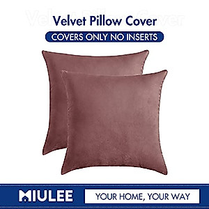 MIULEE Pack of 2 Decorative Velvet Pillow Covers Soft Square Throw Pillow Covers Solid Cushion Covers Jam Pillow Cases for Sofa Bedroom Car 20 x 20 Inch 50 x 50 Cm