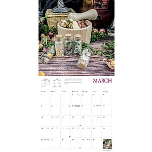 Wicca Wall Calendar 2023 (Art Calendar)