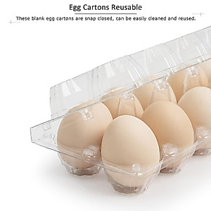 ALISWAT Clear Plastic Egg Carton for 12 Eggs, 48Pack Egg Tray Reusable Medium Size Egg Cartons Suitable for Refrigerator Chicken Farm Markets, Egg Cartons Cheap Bulk, 2x6Grids