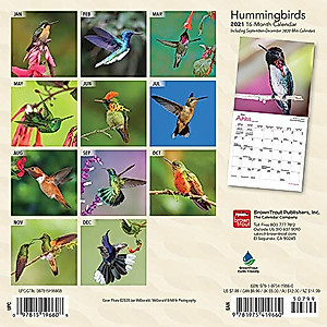 Hummingbirds 2021 Calendar: Foil Stamped Cover