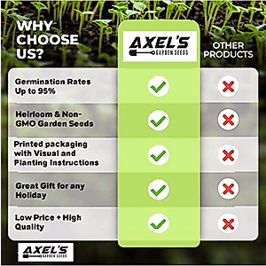 RattleFree Cabbage Seeds for Planting | Heirloom & Non-GMO | 500 Red Acre Cabbage Vegetable Seeds for Planting Home Gardens | Growing Instructions Included on Planting Packets