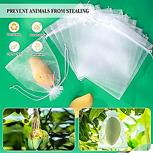50 Pcs Fruit Protection Bags, 8x12 White Fruit Netting Bags for Fruit Trees Fruit Cover Mesh Bag with Drawstring, Netting Barrier Bags for Grapes Mango Fruit Trees Veggies Garden
