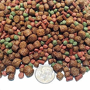 Aquatic Foods Inc. Gourmet Blend - Floating & Sinking Large Mix for Pacus, Arowanas, Oscars All Large Fish GB-410 16oz/1-lb