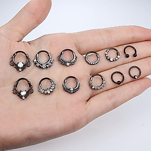 Ubjuliwa 12pcs Septum Jewelry 16g Daith Earrings Hinged Hoop Nose Rings Septum Clicker Cz Stainless Steel Cartilage Earring Helix Tragus Daith Piercing Jewelry 8mm Black