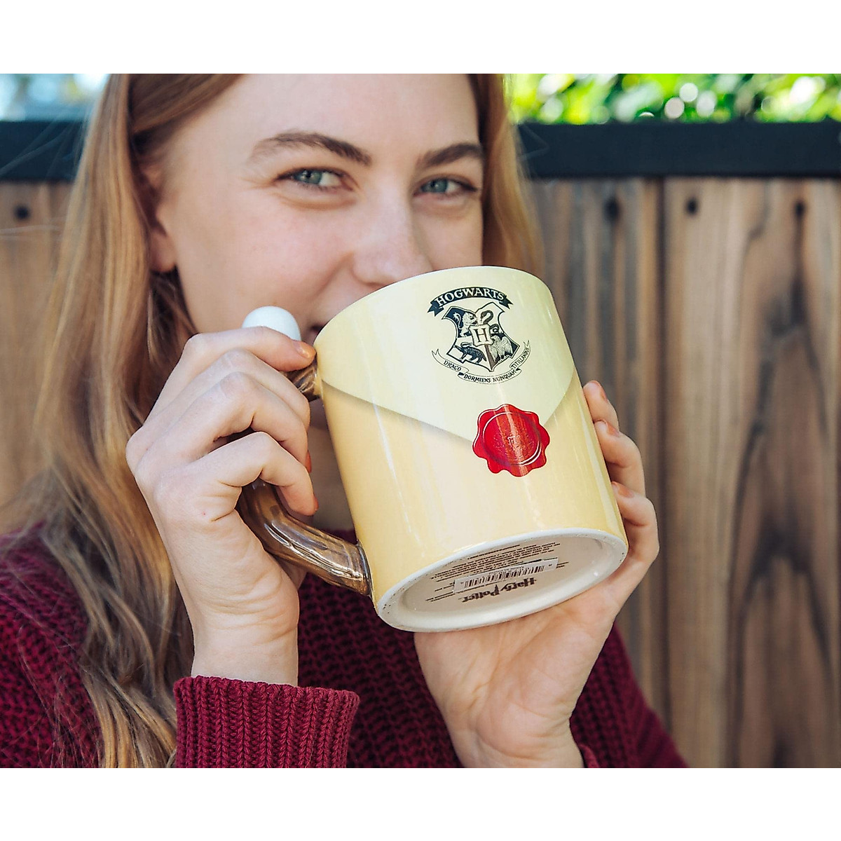 Silver Buffalo Harry Potter Envelope Ceramic Mug With Sculpted Hedwig Handle | Holds 20 Ounces