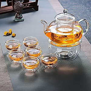 Small Glass Teapot with Infuser,Tea Pot Stovetop Safe Blooming and Loose Leaf Tea Maker Set (13.5 OZ/400ML)