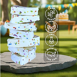 Freeze Dried Ice Cream - Vanilla, Strawberry, Chocolate, Cookies, Cookie Dough, Birthday Cake, Cotton Candy - Rocky Mountain Artisan Crafted Freeze Dried Ice Cream with Simple Organic Ingredients (2.5 OZ, Birthday Cake)