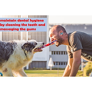 Dog Cotton Rope Toys Set for Medium and Large Dogs Who Love to Play Rough and are Aggressive Chewers. Almost Indestructible, Washable Dental Floss, Tough Tug of War/Chewing Toys - (6 pack)