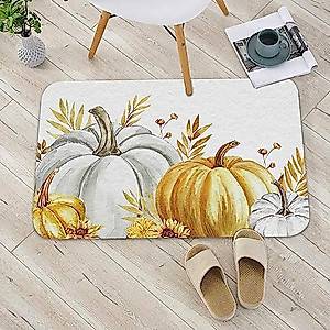 Chees D Zone Indoor Door Mat,Fall Thanksgiving Pumpkin White Soft Non-Slip Absorbent Kitchen Rug,Gold Leaves Sunflower Plant Floor Mat Entrance Rugs for Bedroom Living Room 16x24In