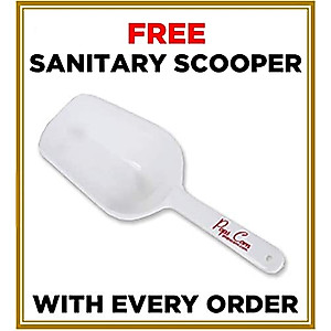 POPCORN! Gourmet Popcorn XL BULK/WHOLESALE-300 Total cups-90oz-MOVIE THEATER STYLE! Butter Flavor PARTY BAG. Popped Event Bag Favors, Buffet, Bar FREE SANITARY SCOOPER!