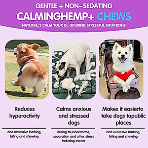 Hemp Calming Chews for Dogs, 150 Soft Dog Calming Treats, Dog Calming Treats with Hemp Oil, Dog Anxiety Relief, Storms, Separation, Barking, Stress Relief for All Breeds & Sizes - Chicken Flavored