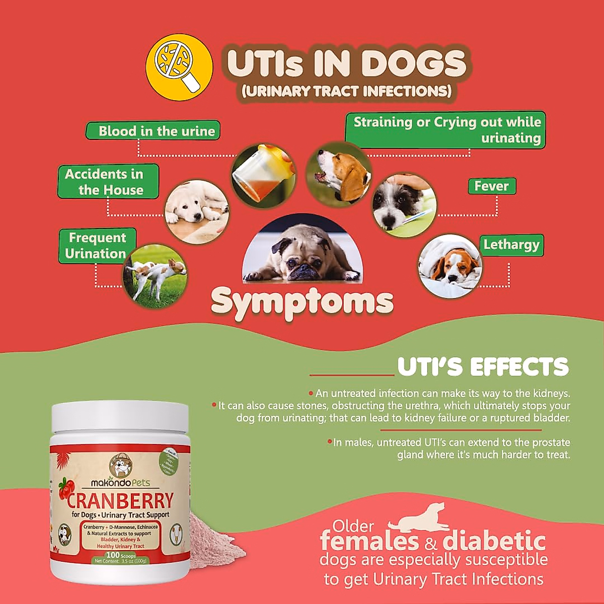Dog Cranberry Supplement - Natural Dog UTI Treatment & Kidney Support for Dogs. Dog Supplement Powder Same as Cranberry Pills for Dogs. Puppy Supplies for Dog Pee Health - Dog Incontinence Product
