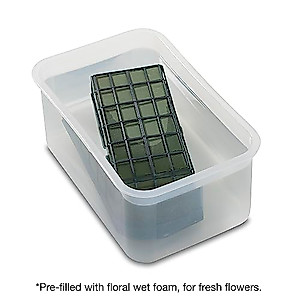 FloraCraft Floral Cage Arranger with Floral WetFōM 3.25 Inch x 4.75 Inch x 9.5 Inch Green