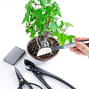 Wazakura Japanese Sap Rust Eraser for Blades, Garden Scissors, Bonsai Tools, Floral Hasami Shears, Made in Japan - Sap Eraser